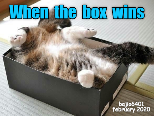 IT'S A SAD DAY - Lolcats - lol | cat memes | funny cats | funny cat ...