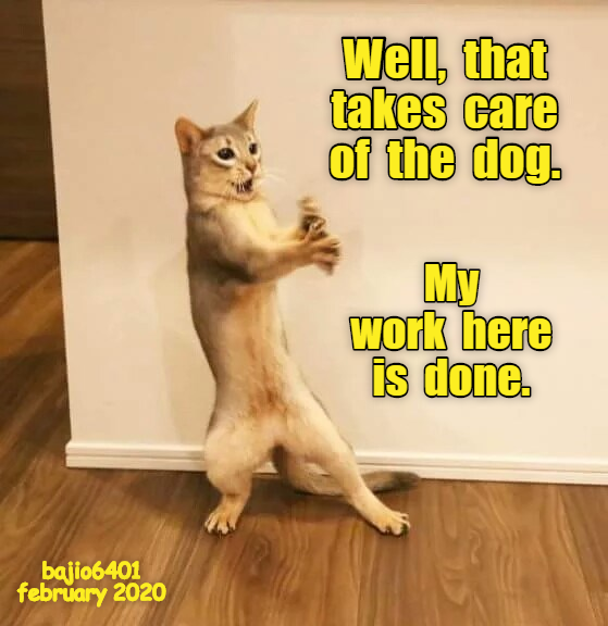 ANOTHER JOB WELL DONE - Lolcats - lol | cat memes | funny cats | funny ...
