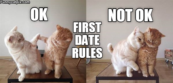 First date rules - Lolcats - lol | cat memes | funny cats | funny cat ...