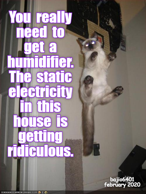 I WANT TO STOP STICKING TO EVERYTHING - Lolcats - lol | cat memes ...