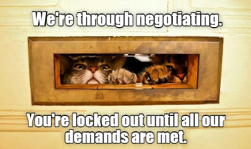 Locked - Lolcats - lol | cat memes | funny cats | funny cat pictures ...
