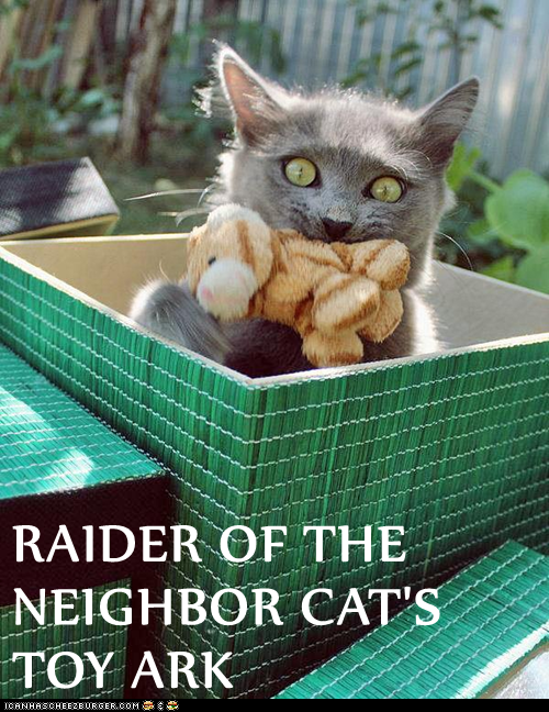 RAIDER OF THE NEIGHBOR CAT'S TOY ARK - Lolcats - lol | cat memes ...