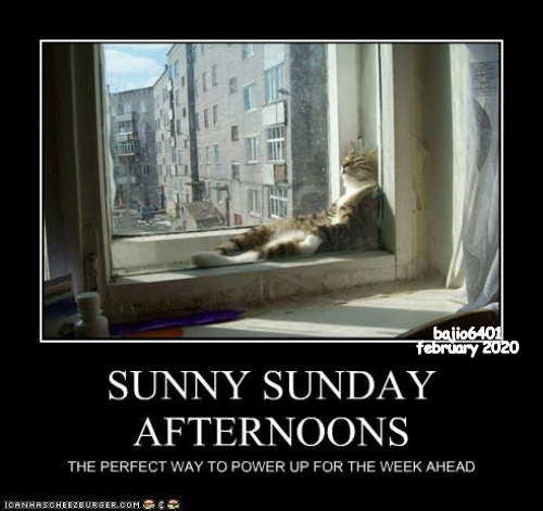 WEEKEND RECHARGE - Lolcats - lol | cat memes | funny cats | funny cat ...