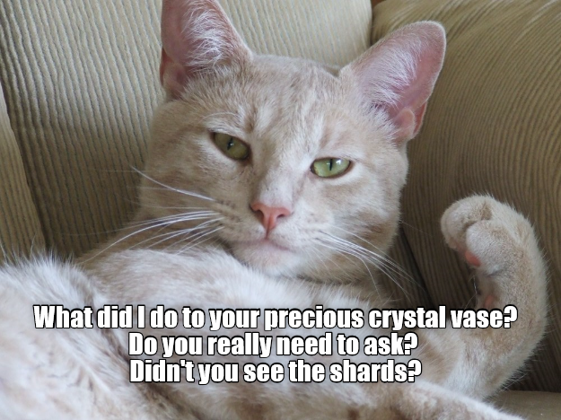 The Mighty Paw - Lolcats - lol | cat memes | funny cats | funny cat ...