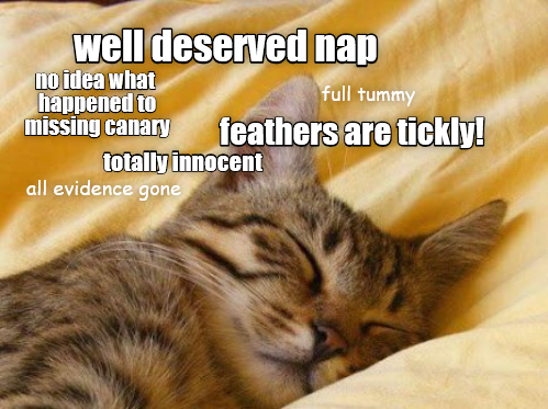 Well deserved nap - Lolcats - lol | cat memes | funny cats | funny cat ...