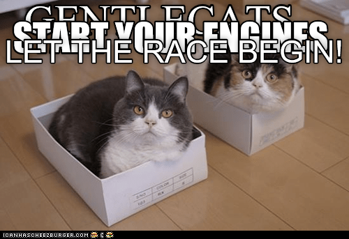 LET THE RACE BEGIN! - Lolcats - lol | cat memes | funny cats | funny ...