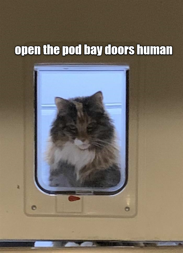 Open the pod bay doors human - Lolcats - lol | cat memes | funny cats ...