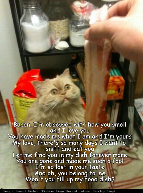 Bacon - Lolcats - lol | cat memes | funny cats | funny cat pictures ...