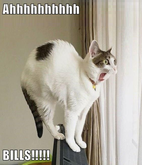 Ahhhhhhhhhh - Lolcats - lol | cat memes | funny cats | funny cat ...