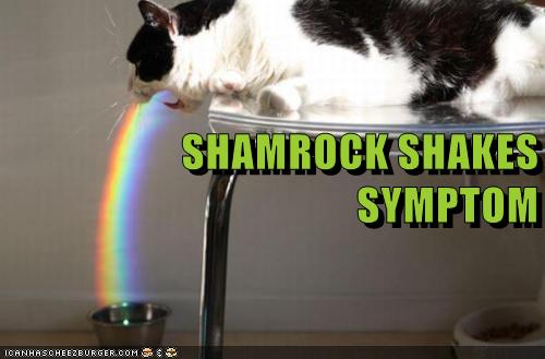 SHAMROCK SHAKES SYMPTOM - Lolcats - lol | cat memes | funny cats ...