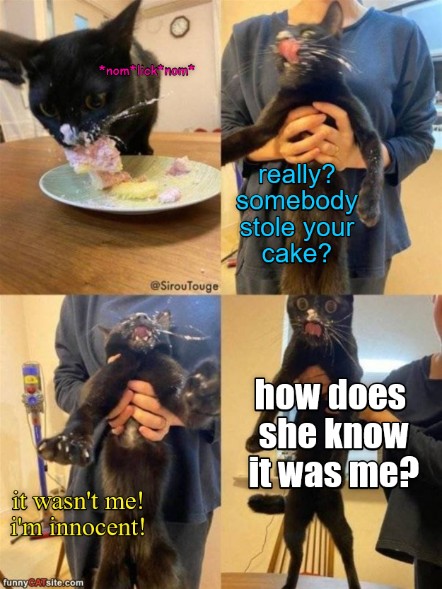 It wasn't me! i'm innocent! - Lolcats - lol | cat memes | funny cats ...