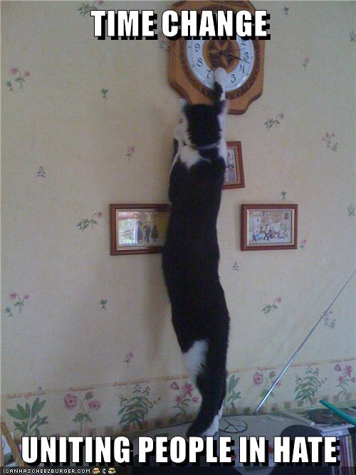 TIME CHANGE - Lolcats - lol | cat memes | funny cats | funny cat ...