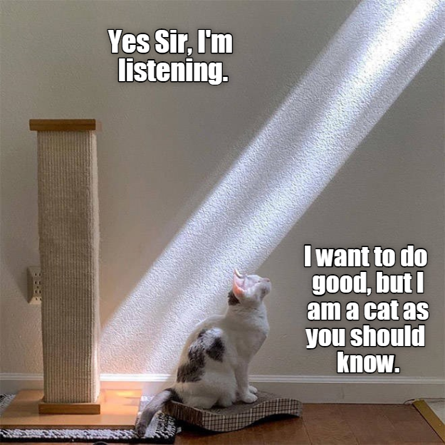 I'm listening - Lolcats - lol | cat memes | funny cats | funny cat ...