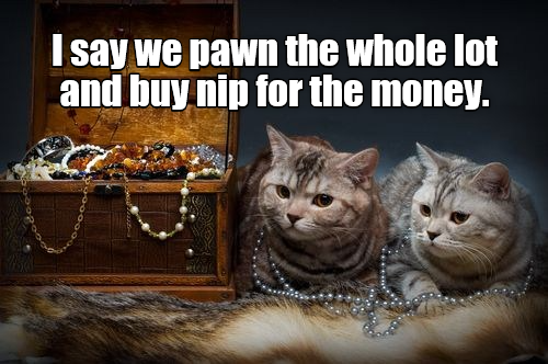 A plan - Lolcats - lol | cat memes | funny cats | funny cat pictures ...