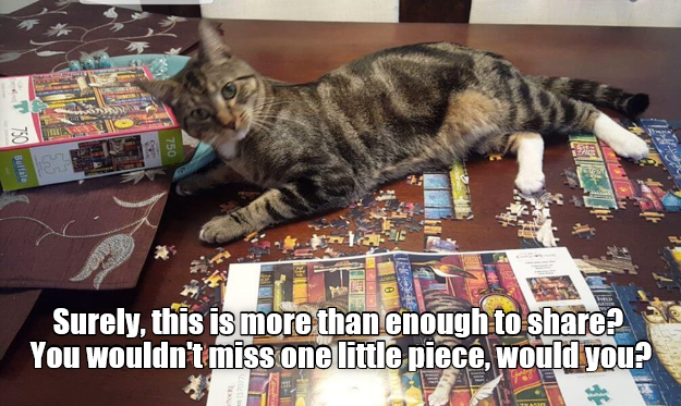 Surely, this is more than enough to share? - Lolcats - lol | cat memes ...