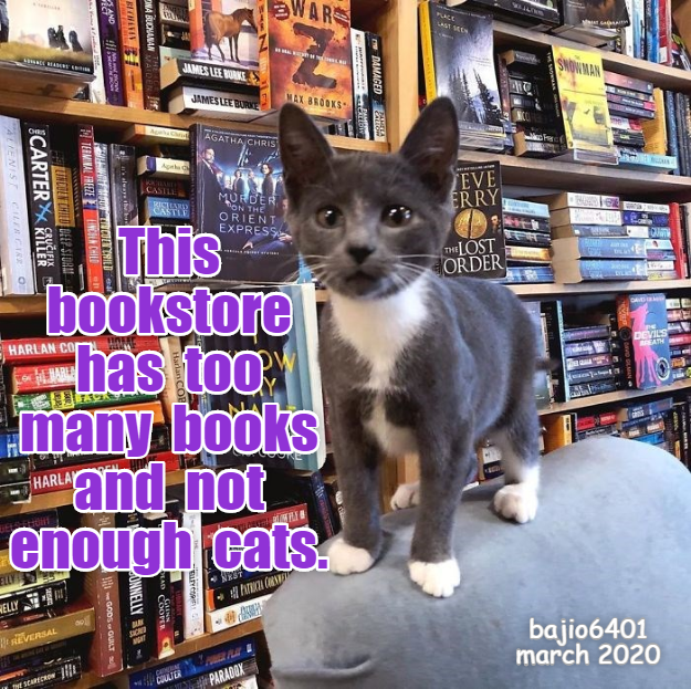 THIS NEEDS TO BE FIXED NOW - Lolcats - lol | cat memes | funny cats ...