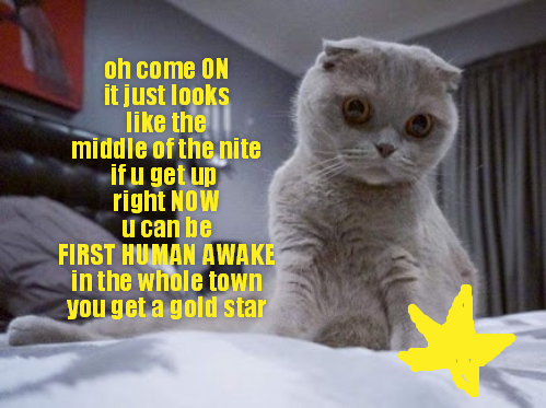 Well, U May Be Seeing Stars 4 A Few Hours - Lolcats - lol | cat memes ...