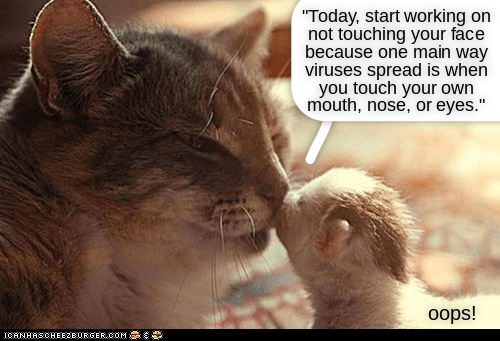 oops! https://www.youtube.com/watch?v=DAsVf3bPXxI - Lolcats - lol | cat ...