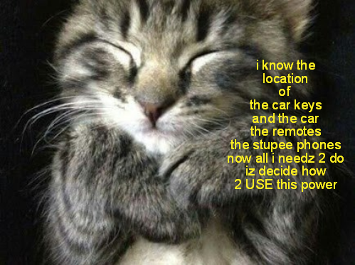 Prowl Power - Lolcats - lol | cat memes | funny cats | funny cat ...