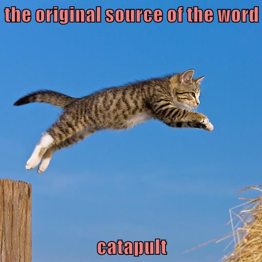 Catapult - Lolcats - lol | cat memes | funny cats | funny cat pictures ...