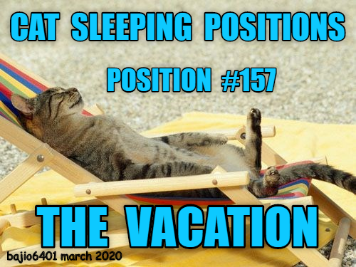 THE GUIDE TO CAT SLEEPING POSITIONS - Lolcats - lol | cat memes | funny ...