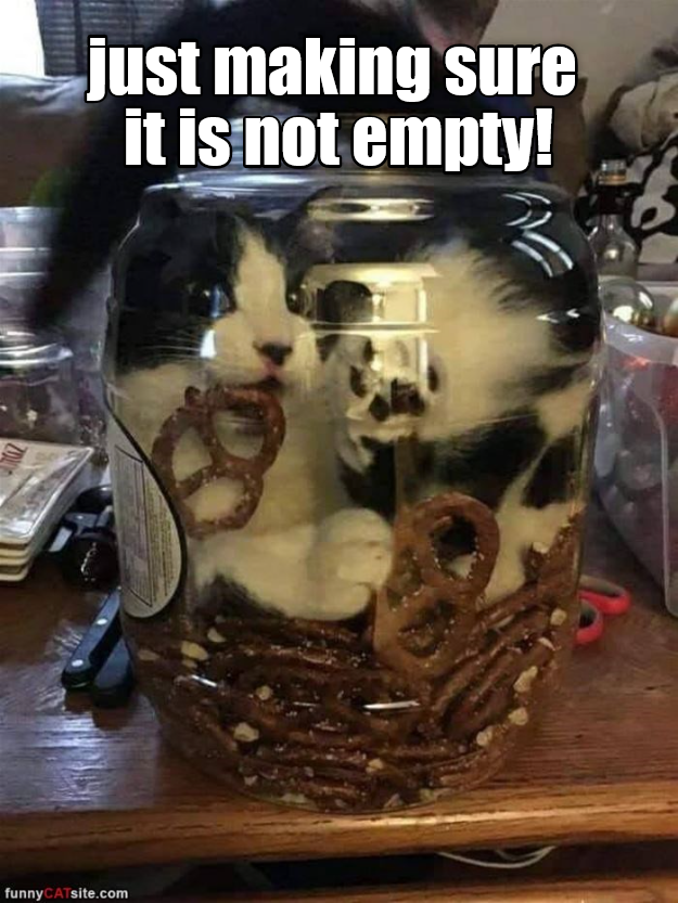 Just making sure - Lolcats - lol | cat memes | funny cats | funny cat ...