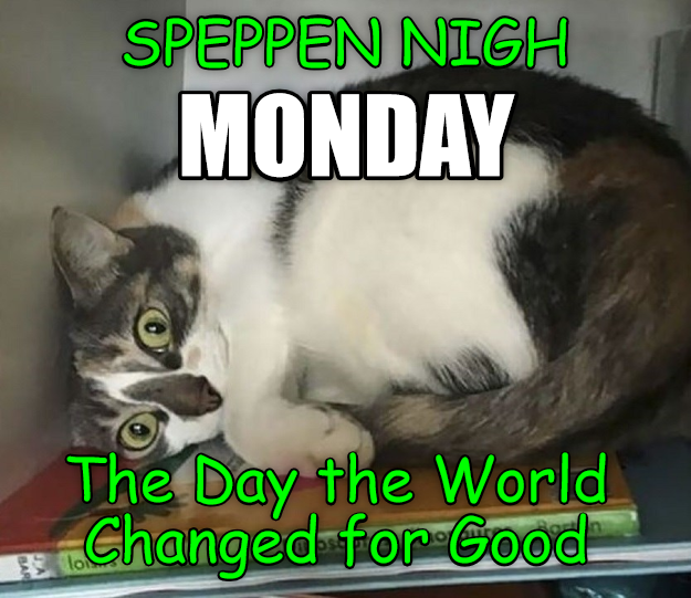 MONDAY - Lolcats - lol | cat memes | funny cats | funny cat pictures ...