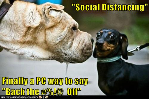 "Social Distancing" - I Has A Hotdog - Dog Pictures - Funny pictures of ...