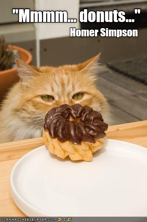"Mmmm... donuts..." - Lolcats - lol | cat memes | funny cats | funny ...