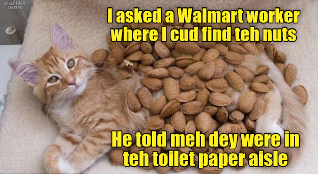 Dunt Panic! - Lolcats - lol | cat memes | funny cats | funny cat ...