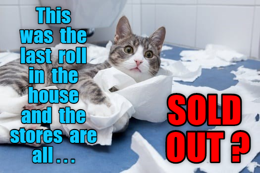 I'M DOOMED - Lolcats - lol | cat memes | funny cats | funny cat ...