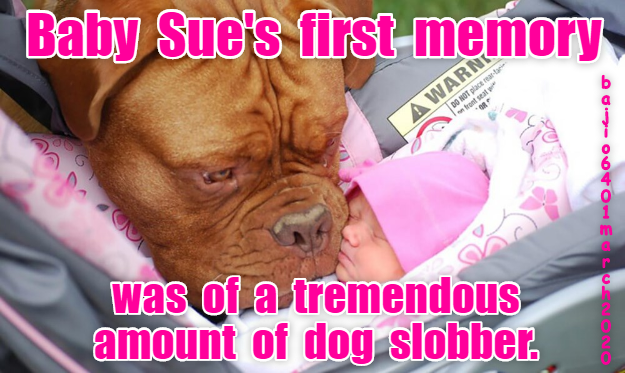 AND WHAT A MEMORY IT WAS - I Has A Hotdog - Dog Pictures - Funny ...