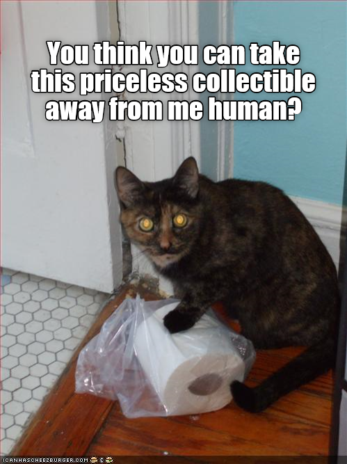Think again - Lolcats - lol | cat memes | funny cats | funny cat ...