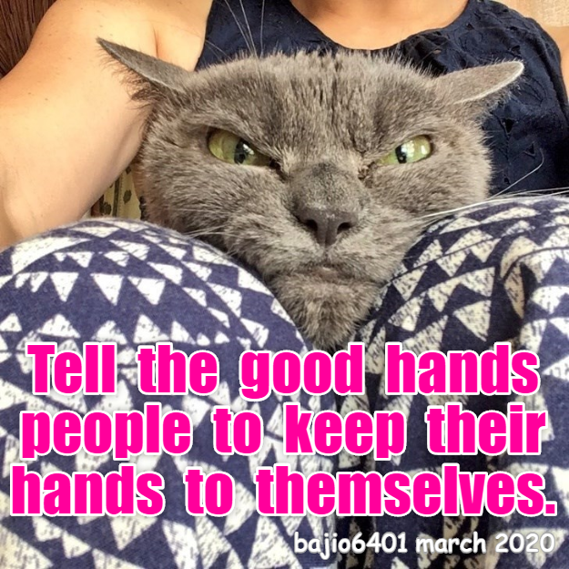 AND TO WASH THEM, TOO - Lolcats - lol | cat memes | funny cats | funny ...