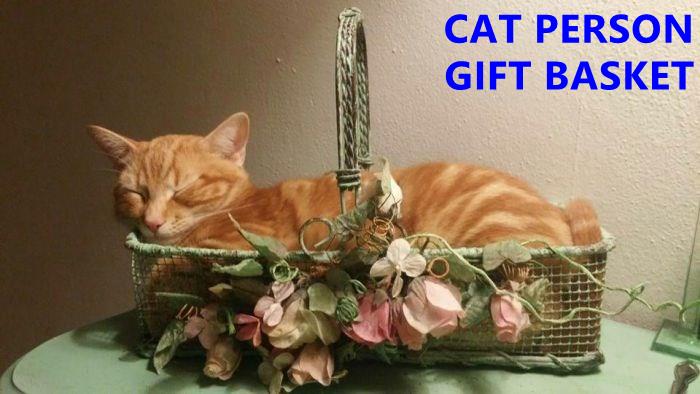 CAT PERSON GIFT BASKET - Lolcats - lol | cat memes | funny cats | funny ...