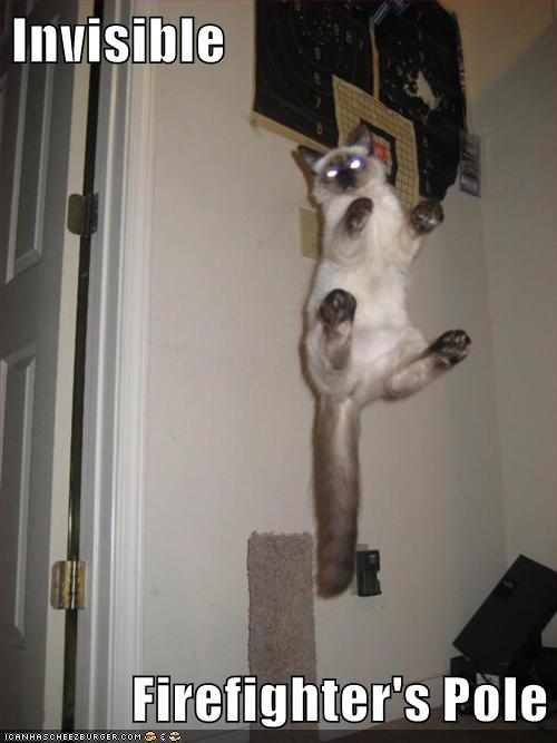 Invisible Firefighter's Pole - Lolcats - lol | cat memes | funny cats ...