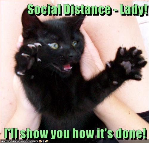 Social Distance - Lady! I'll show you how it's done! - Lolcats - lol ...