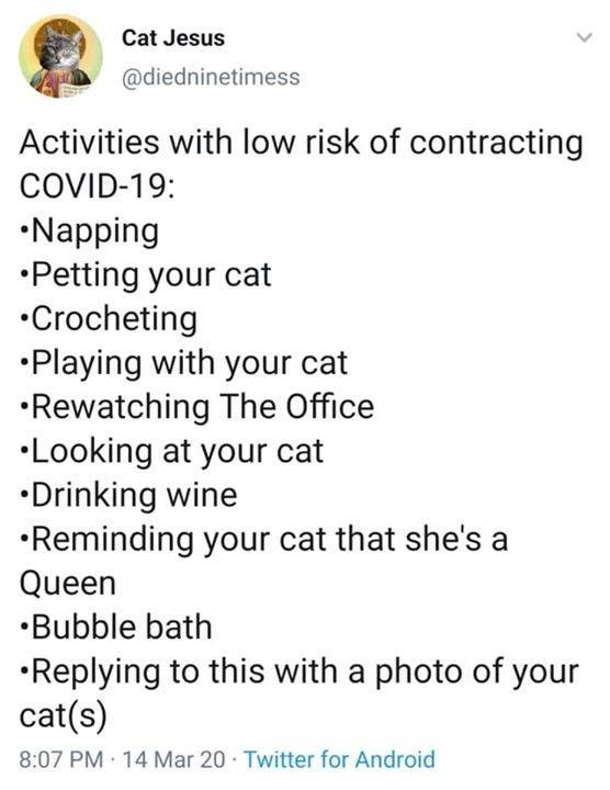 Low risk activities - I Can Has Cheezburger?