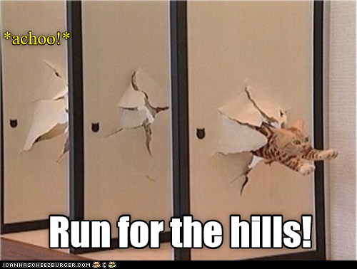 Run for the hills! - Lolcats - lol | cat memes | funny cats | funny cat ...
