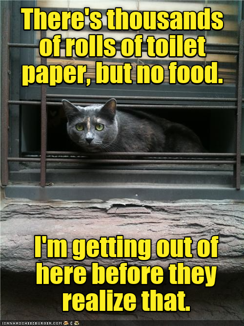 I hear cat tastes like chicken. - Lolcats - lol | cat memes | funny ...