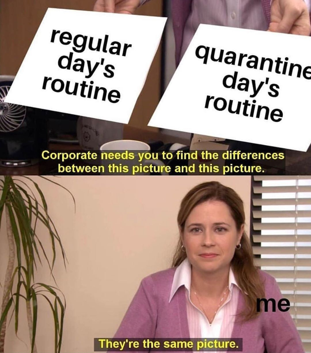 Looks The Same To Me - Memebase - Funny Memes