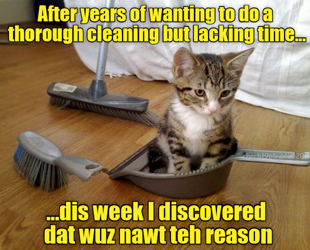 Shelter in messy place - Lolcats - lol | cat memes | funny cats | funny ...