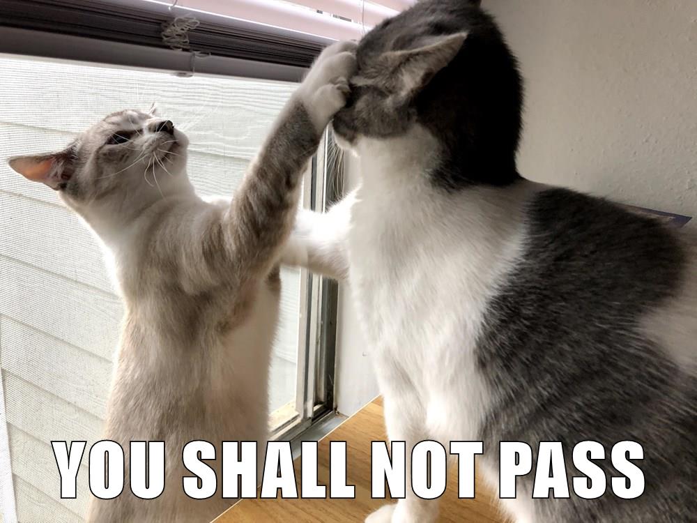 YOU SHALL NOT PASS - Lolcats - lol | cat memes | funny cats | funny cat ...