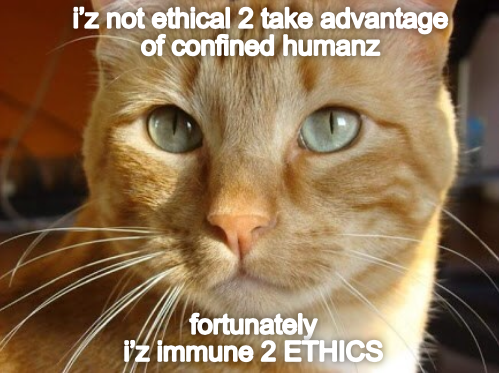 Kitteh Ethics - Lolcats - lol | cat memes | funny cats | funny cat ...