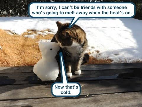 Foul weather friend - Lolcats - lol | cat memes | funny cats | funny ...