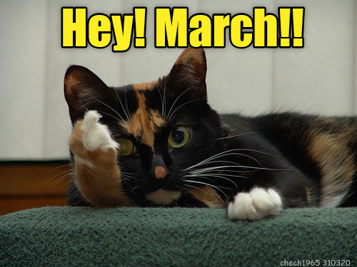 April can onlee b wurser - Lolcats - lol | cat memes | funny cats ...