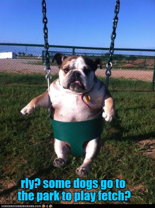 Rly? - I Has A Hotdog - Dog Pictures - Funny pictures of dogs - Dog ...