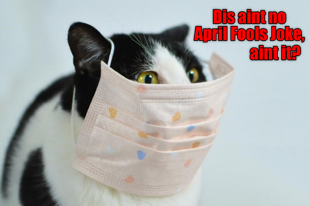 Nuh-uh! - Lolcats - lol | cat memes | funny cats | funny cat pictures ...