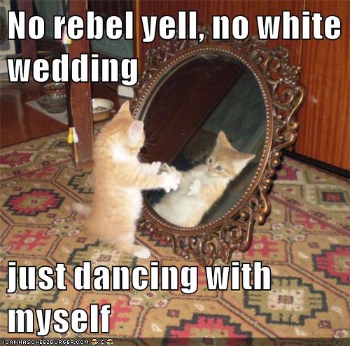 Dancing with myself - Lolcats - lol | cat memes | funny cats | funny ...
