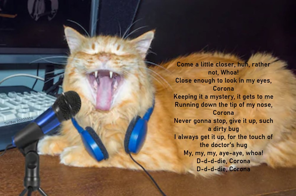 Die, Corona. (TTTO My Sharona by The Knack) - Lolcats - lol | cat memes ...